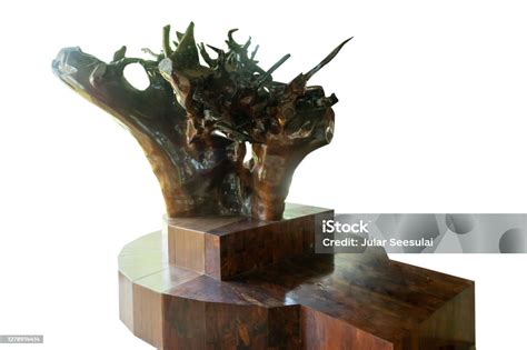 복사 공간과 클리핑 경로로 흰색 텍스처 배경을 분리하는 루트 가구입니다 0명에 대한 스톡 사진 및 기타 이미지 0명 갈색