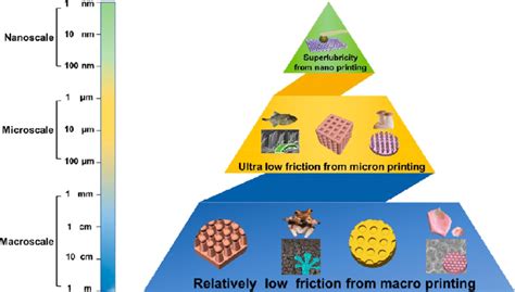 Allowable Lubrication Properties Of Various Structures At Different Download Scientific Diagram