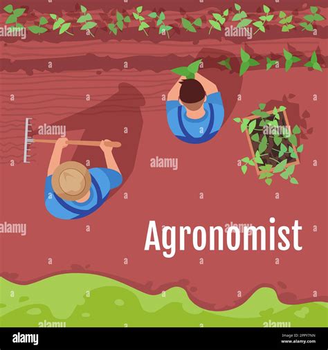 Layout Of Plantation Stock Vector Images Alamy