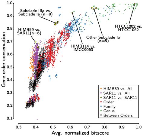 Gene Order Conservation Plotted Against Protein Sequence Similarity For