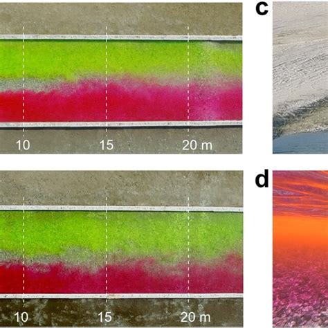 Flow Visualizations In The Field Based Experiments A B Patterns Of