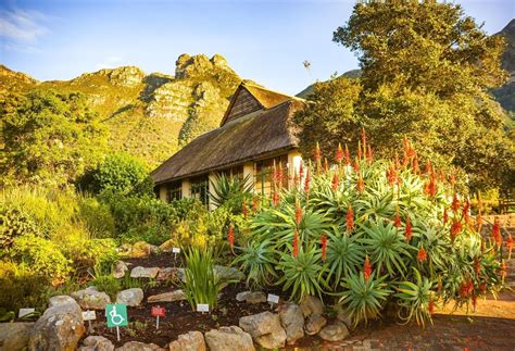 Rundreisen de Südafrika Botanischer Garten Kirstenbosch