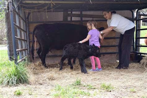Adventures On Zephyr Hill Farm