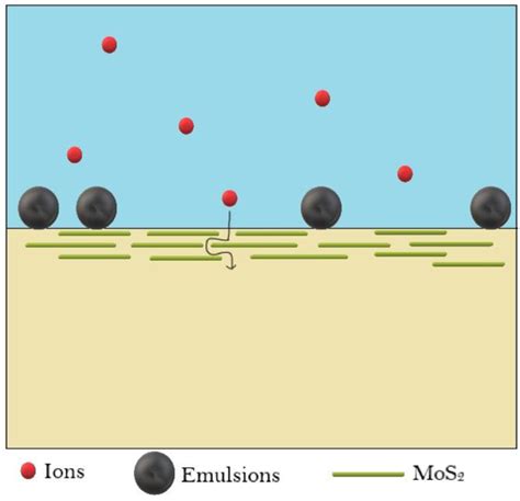 Schematic Diagram For Ion Transfer Across A Modified Ities With An