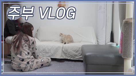 주부vlogㅣ 소파커버 씌우고 고양이와 시간보내고 코바늘도 하는 일상 Youtube