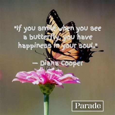 Beautiful Butterfly Pictures With Quotes