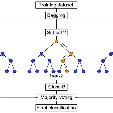 Flowchart Of Rf As A Classifier [54] Download Scientific Diagram