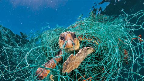 De Qué Manera La Basura Plástica Acelera El Cambio Climático Infobae