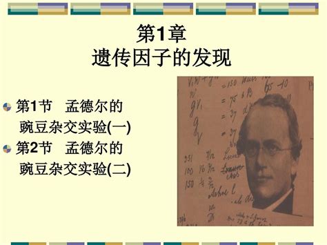 生物必修二第一章第一节课件word文档在线阅读与下载无忧文档