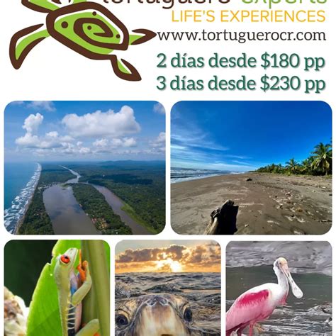 Tortuguero Costa Rica 🇨🇷 Disfrute De Los Tours De Observación Una