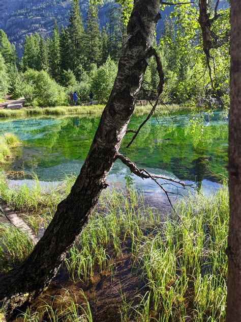 К трём планетам на Алтай из Барнаула Бийска и Горно Алтайска 🧭 цена тура 15990 ₽ 6 отзывов