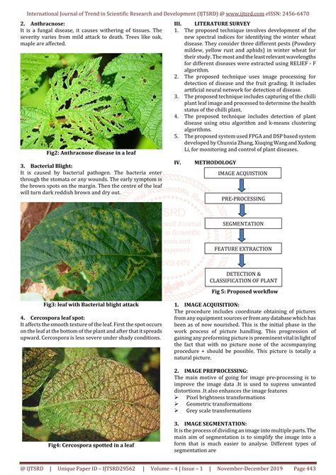 Disease Detection In Plant Leaves Using K Means Clustering And Neural