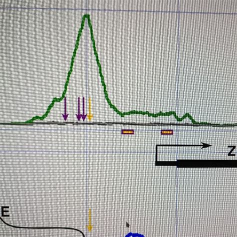 GitHub Mbanf HaschSeq