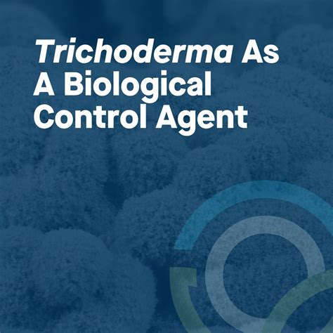 Trichoderma As A Biological Control Agent Eco Growth International