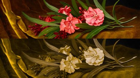 Enchroma Color Blind Glasses Harn Museum Of Art