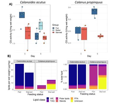 Effects Of Starvation On Citrate Synthase Activity And Lipid Content Download Scientific