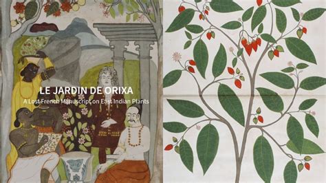Le Jardin De Orixa A Botanical Treatise Re Discovered From The