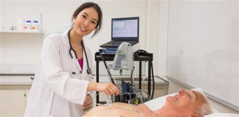 Stem 9 Practice Final Quiz Flashcards And Trivia