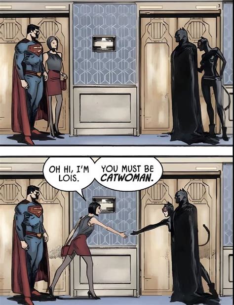 Filho Do Batman Batman E Mulher Gato Ilustração De Casal Heróis