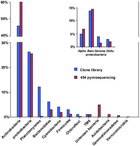 Bacterial Community Compositions At Phylum Level And Proteobacteria At
