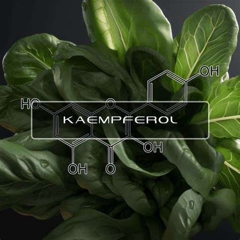 Kaempferol Source Plant Interstellar Plan Activate Your Super Powers