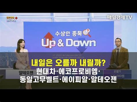 수상한 종목 UP DOWN 내일은 오를까 내릴까 현대차에코프로비엠동일고무벨트에이피알알테오젠 이권희 위즈웨이브