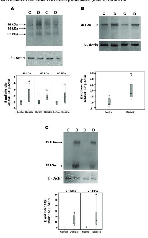 Adamts 1 Panel A Adamts 5 Panel B And Matrix Metalloproteinase