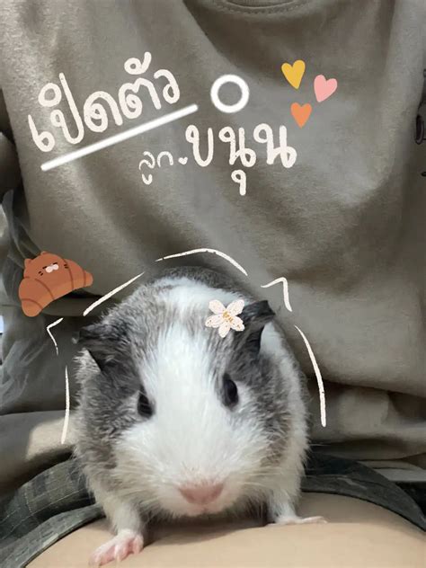 เปิดตัวเจ้า ขนุน ตัวจี๊ด🎀📮 แกลเลอรีที่โพสต์โดย Jaopla🐟☁️ Lemon8