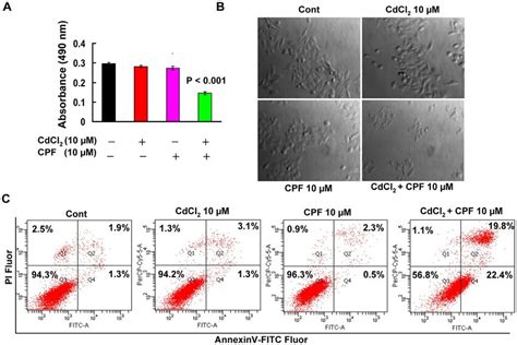 The Concomitant Exposure Of Cd 2 And Cpf Resulted In Toxicity To Hep