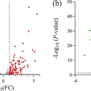 Volcano Plot Of DEGs Encoding ABC Transporters In The Roots Of Wheat