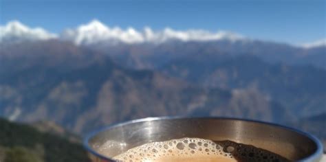 पहाड़ी जगहों पर चाय नहीं पी या मैगी नहीं खाई तो Kafal Tree