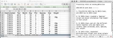 How Can I View Two Different Excel Sheets Side By Side Rose Templates