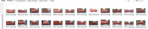 【实例分割yolact 】从头训练自己的yolact 模型 csdn博客