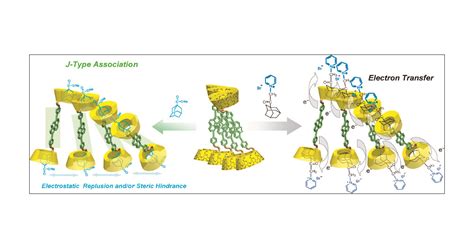 Chemically Responsive Supramolecular Assemblies Of Pyrene β
