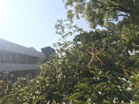 What The Fuck Is This Can I Let It Crawl On Me Dont Care If I Get Bit As Long As Its Not Gonna