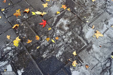 上海今阴有短时小雨最高温度21℃，中午前后转阴到多云新民社会新民网