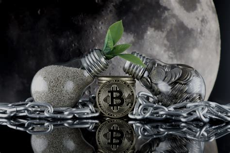 Bitcoin An Ecological Problem M I T Supports TRUST YOUR GOODS