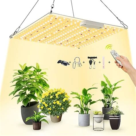 Uv Lampe Pflanzen – Die 15 besten Produkte im Vergleich - haushalt-und ...