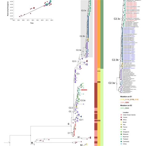 Molecular Clock Analysis Of Ecsa Genotype Chikv A Temporal Signal