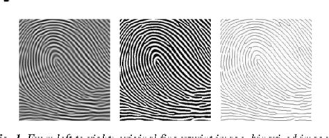 Figure 1 From A Modified Fingerprint Image Thinning Algorithm