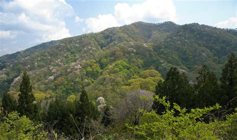 日本一小さな山脈櫛形山脈大峰山散策と100種の桜観賞バスツアー しばた観光ガイド