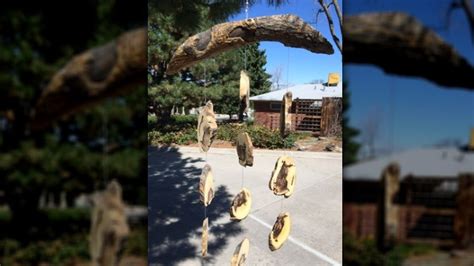 How To Use Tree Branches As Home Decor