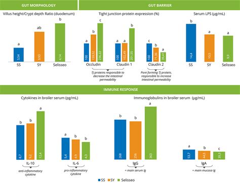 Selenium Reserves Ensure Better Broiler Performance All About Feed