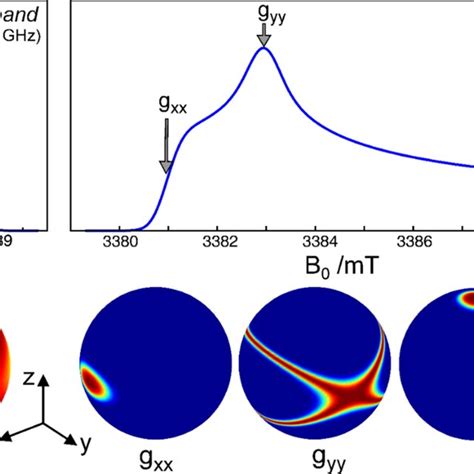 Enhanced Orientation Selectivity By High Field Epr Taking The Anion