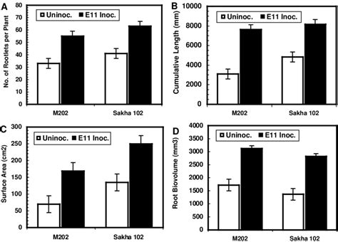 Characteristics Of Root Architecture In Rice Plants Grown Axenically