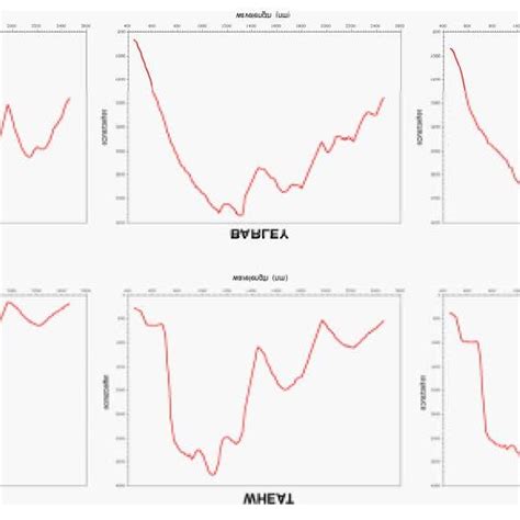 A Typical Vegetation Spectrum Download Scientific Diagram