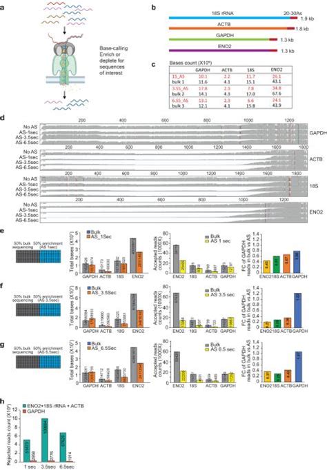 Yue Wan On Linkedin Direct Rna Sequencing Coupled With Adaptive Sampling Enriches Rnas Of…