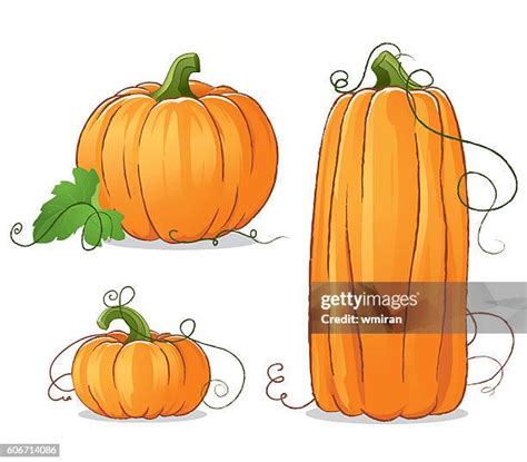 Vine Plot Photos And Premium High Res Pictures Getty Images