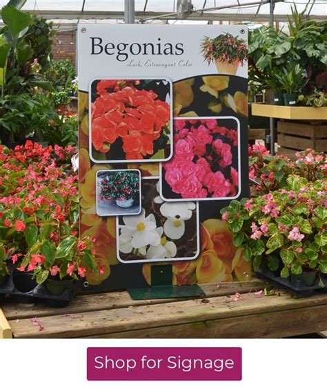 Password Successfully Updated