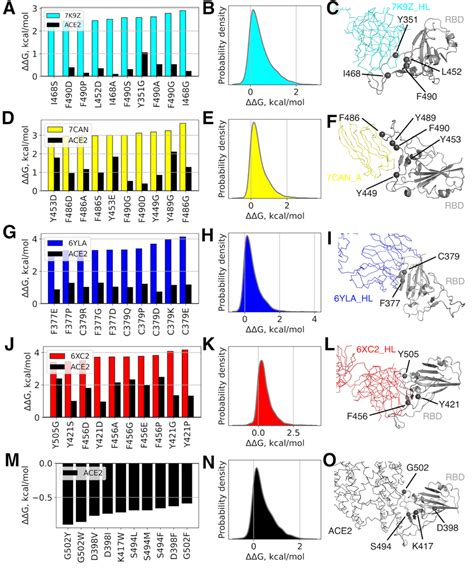Effects Of Single Mutations On The Binding Affinity Of The Rbd Antibody